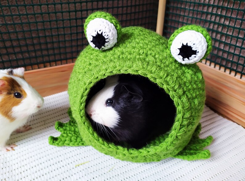 Guinea pig frog house for cage. Small pet house. Funny guinea | Etsy
