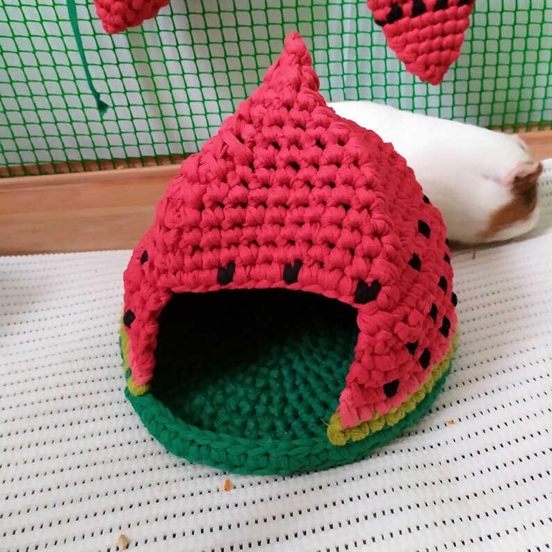 Guinea Pig Watermelon House for Cage. Small Pet House. Funny - Etsy