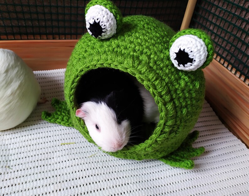 Guinea pig frog house for cage. Small pet house. Funny guinea | Etsy