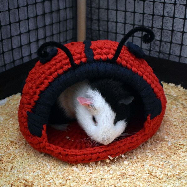 Ladybug House - Etsy