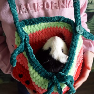 Guinea Pig Watermelon Carrier. Small Pet Soft Cozy Carrier. - Etsy