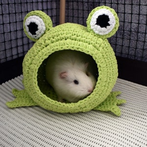 Guinea Pig Frog House for Cage. Small Pet House. Funny Guinea - Etsy