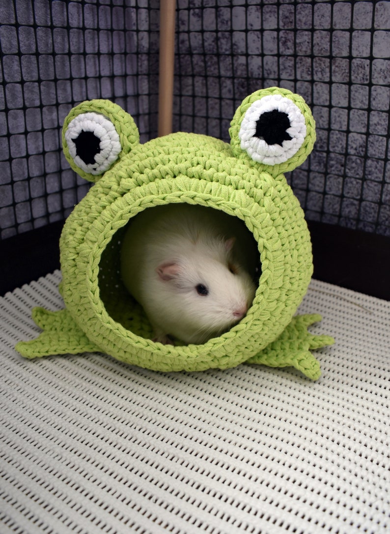 Guinea Pig Frog House for Cage. Small Pet House. Funny Guinea - Etsy
