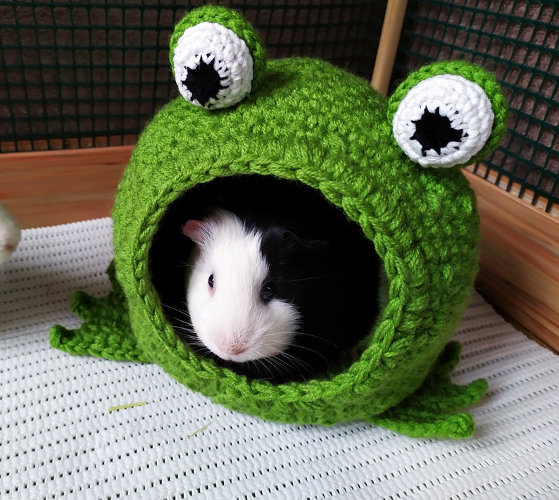 Guinea pig frog house for cage. Small pet house. Funny guinea | Etsy