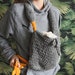 Gray Goose Carrier for Guinea Pig - Small Pet Soft Cozy Bonding Bag - Etsy