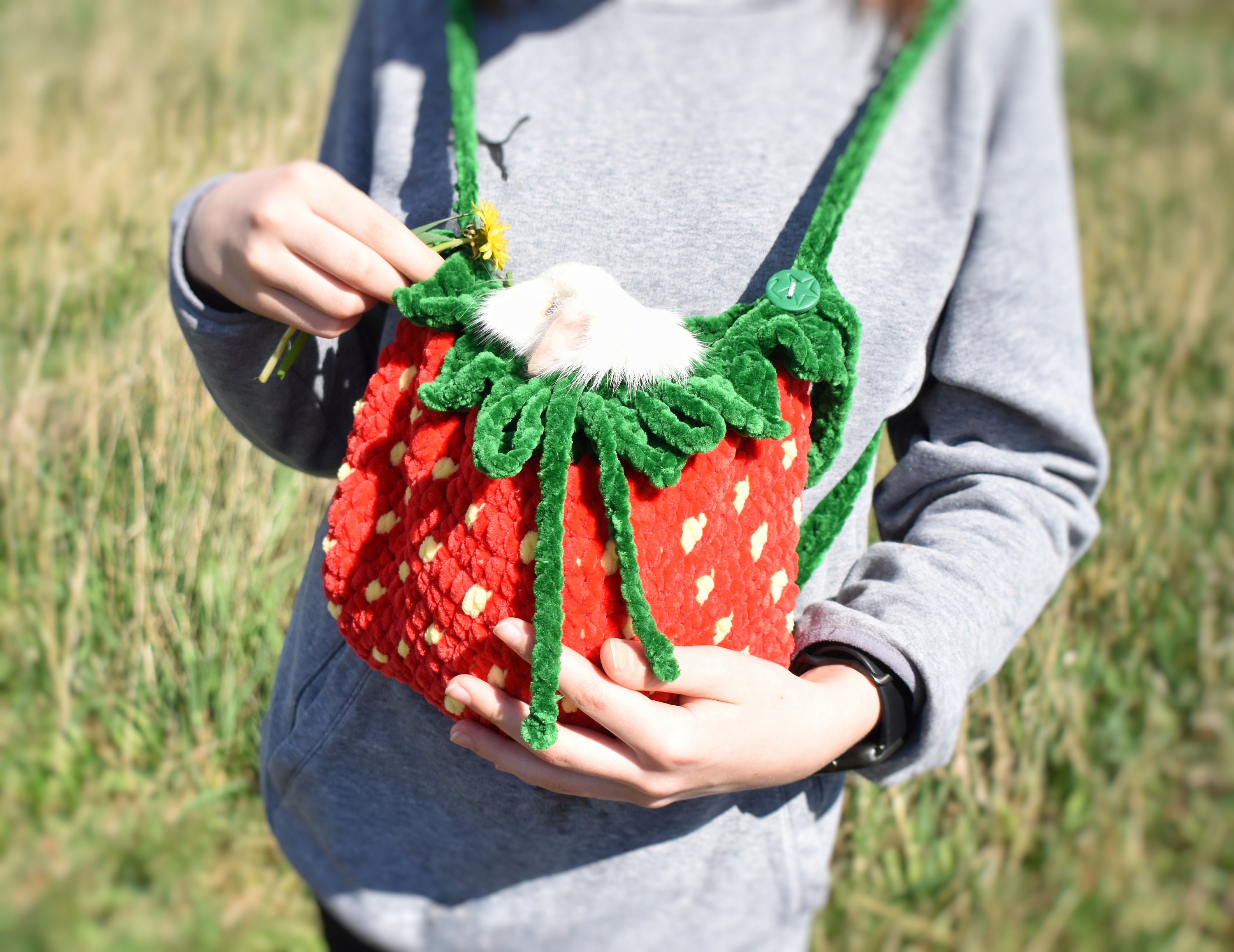 Guinea Pig Strawberry Carrier | Small Pet Soft Cozy Carrier | Small Pet ...