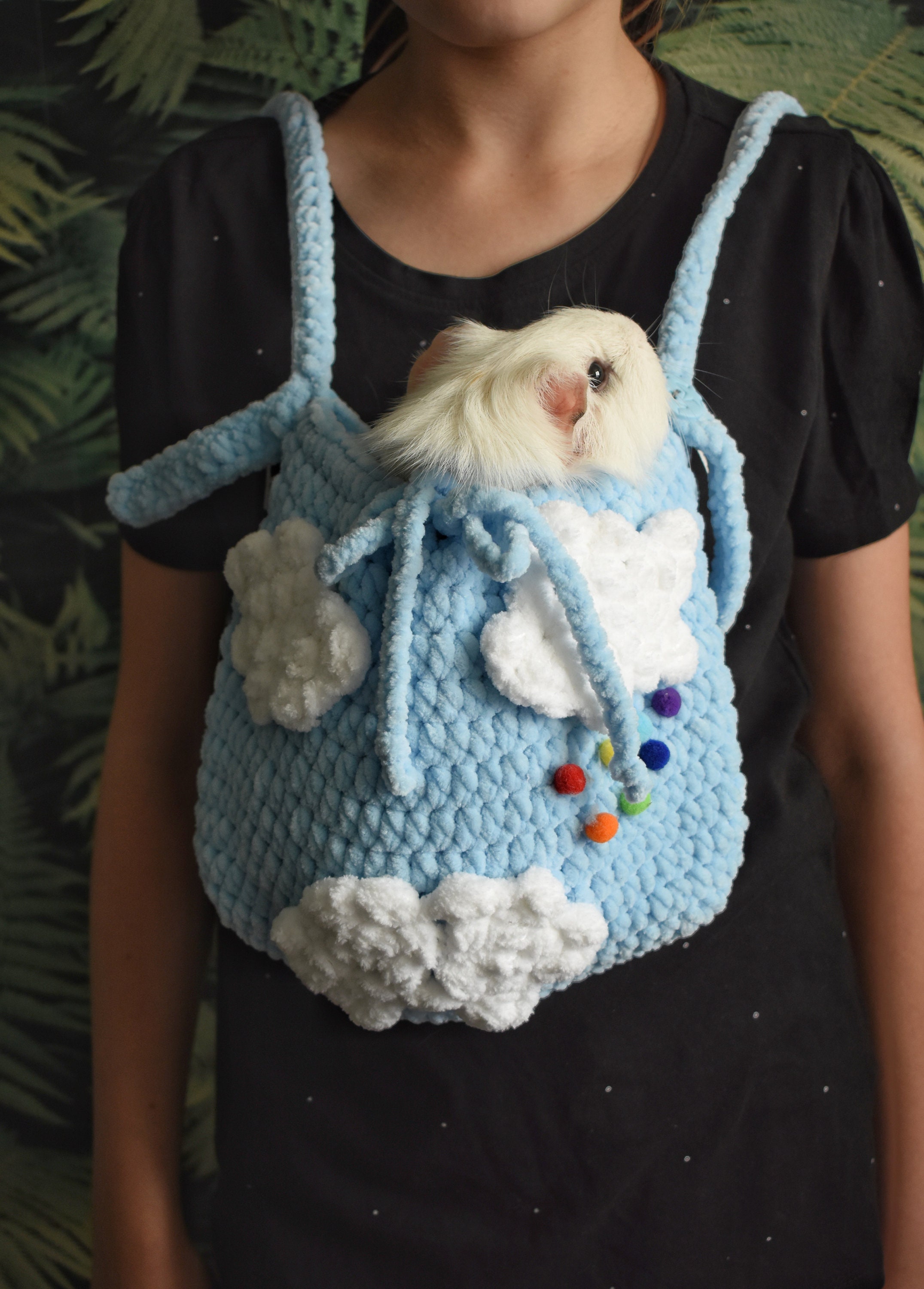 Guinea Pig Carrier: Blue Plush Bonding Pouch With Clouds & Rainbow - Etsy