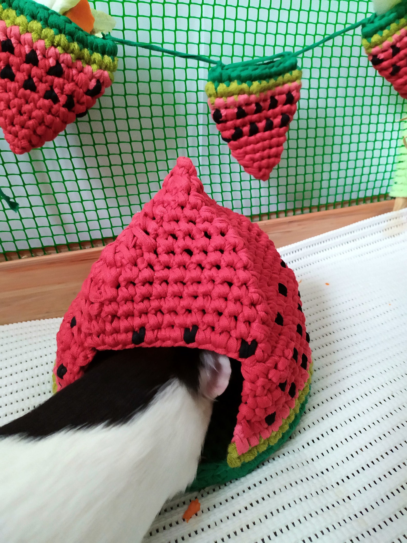 Guinea Pig Watermelon House for Cage. Small Pet House. Funny - Etsy