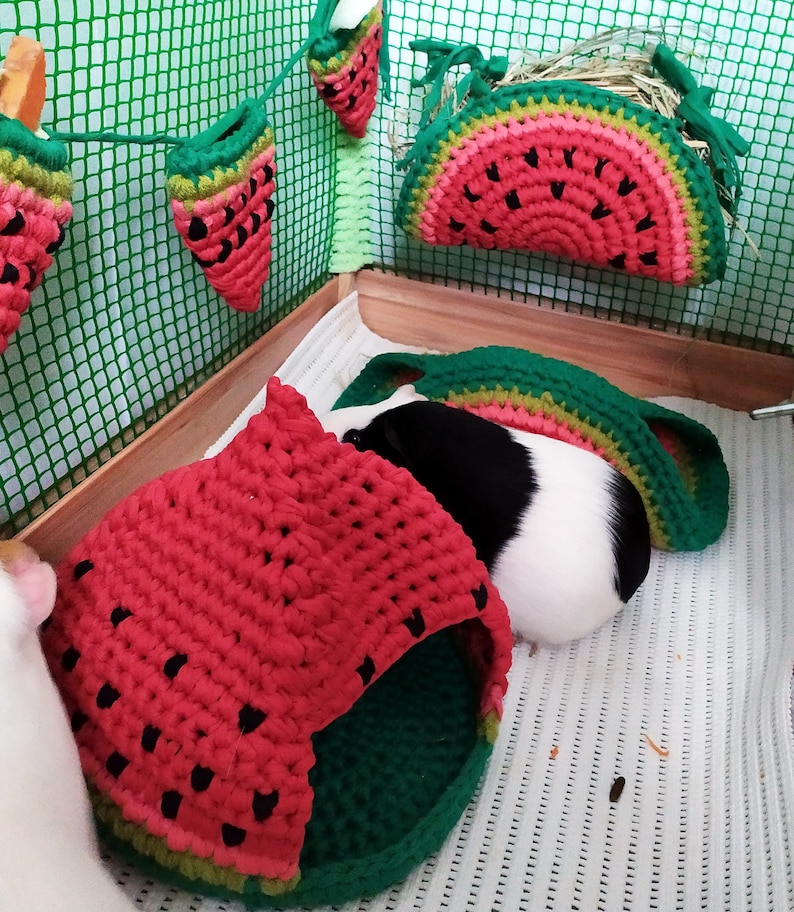 Set of 4pcs Guinea Pig Accessories for Cage Watermelon Pet - Etsy