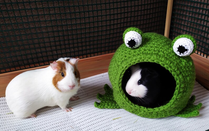 Guinea pig frog house for cage. Small pet house. Funny guinea | Etsy