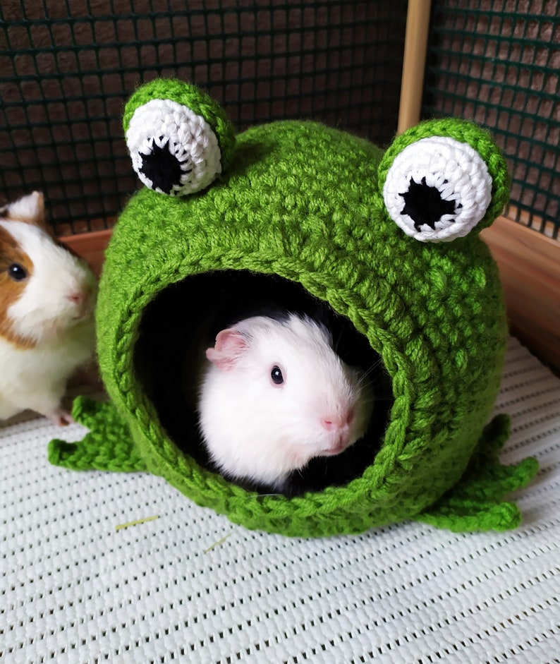 Guinea pig frog house for cage. Small pet house. Funny guinea | Etsy