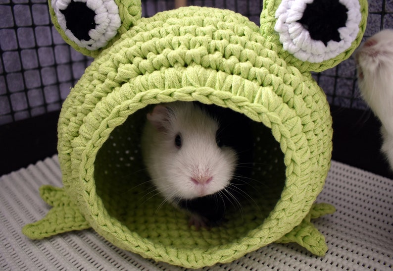 Guinea Pig Frog House for Cage. Small Pet House. Funny Guinea - Etsy
