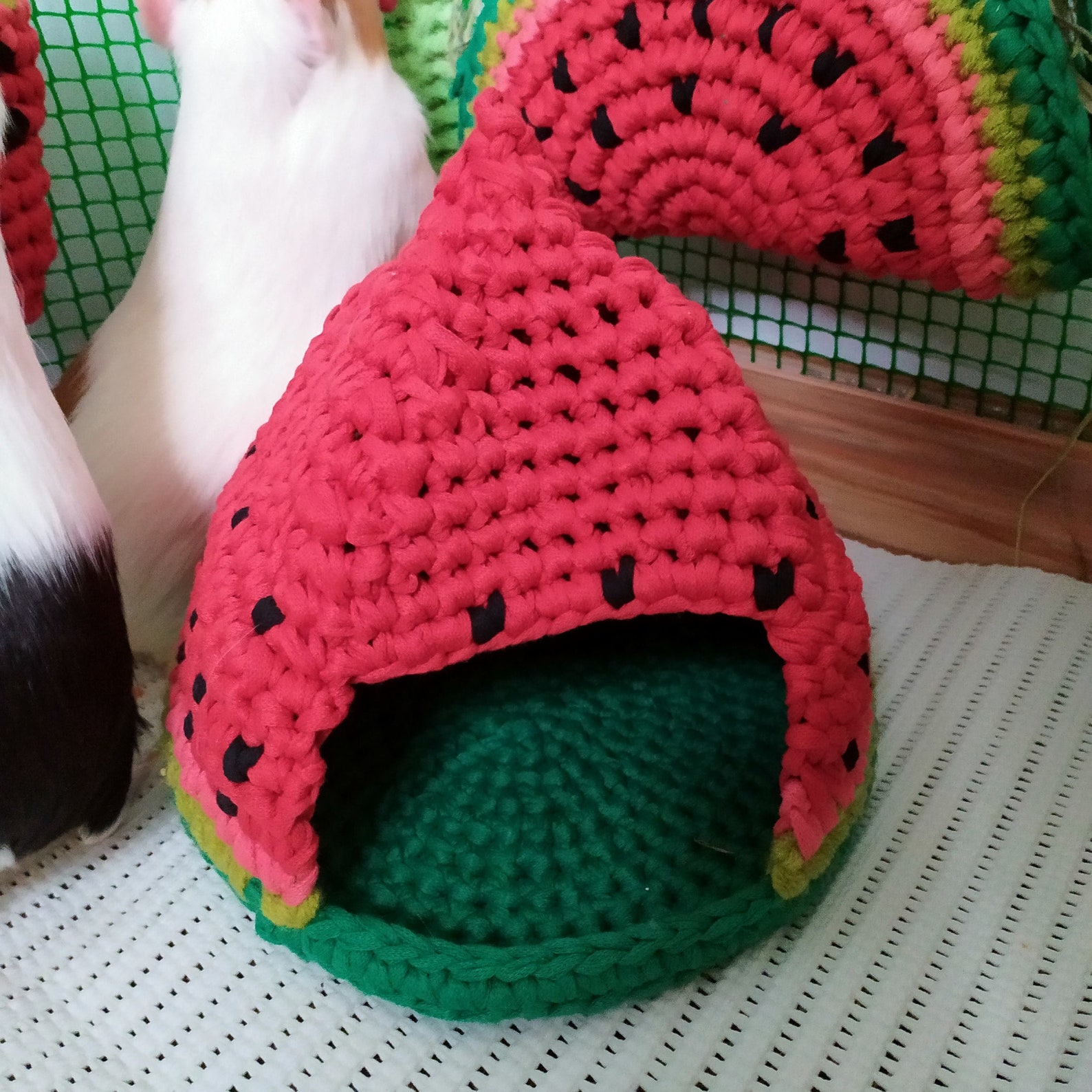 Guinea Pig Watermelon House for Cage. Small Pet House. Funny - Etsy