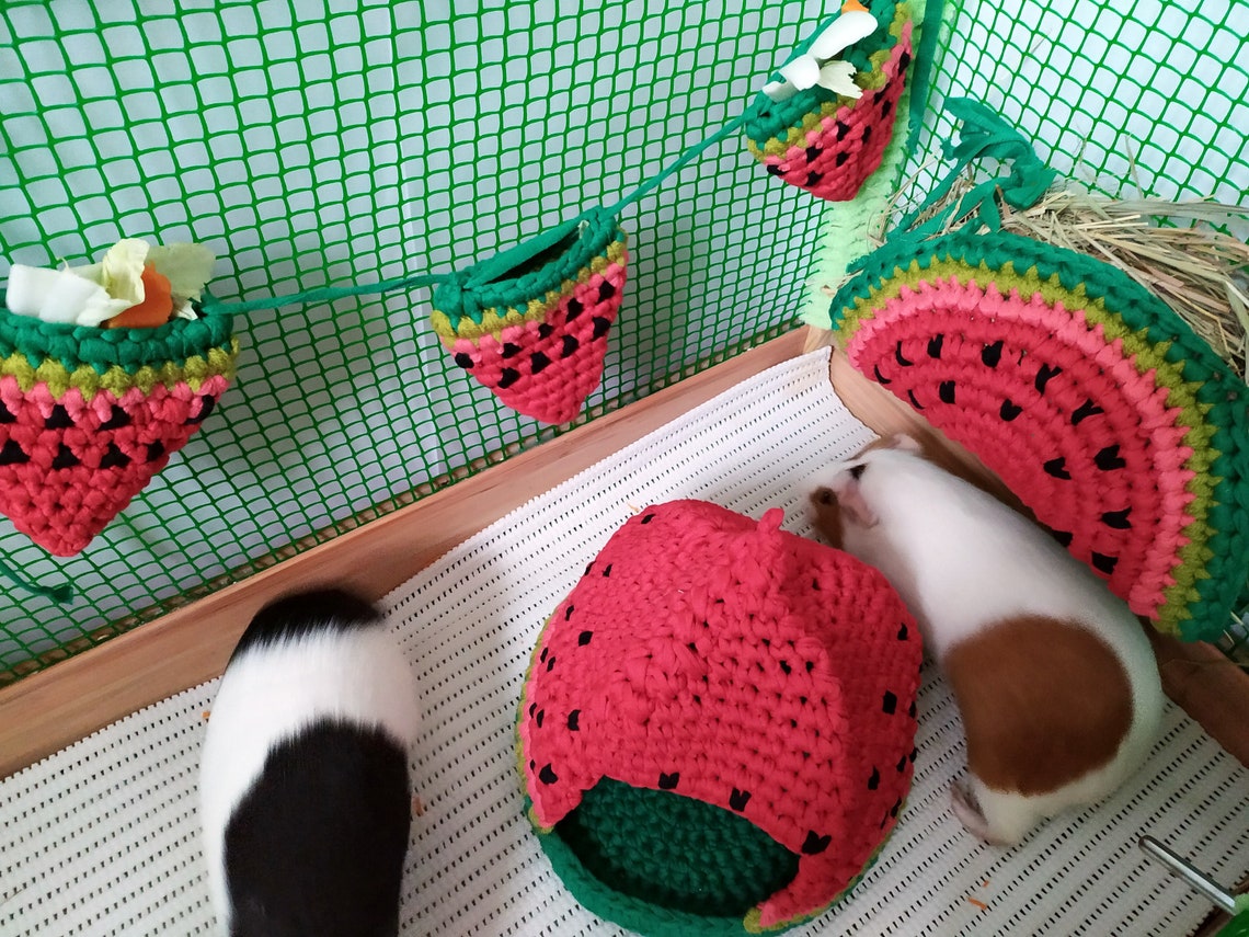 Set of 4pcs guinea pig accessories for cage Watermelon pet | Etsy