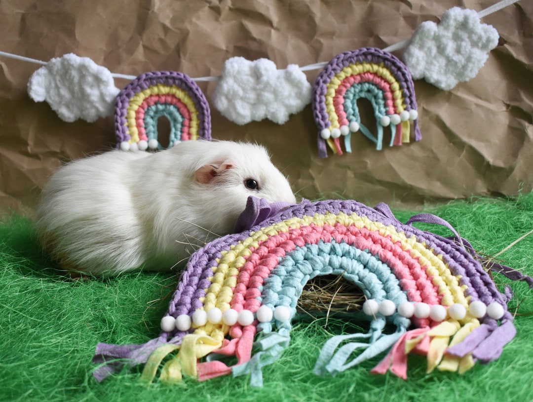 Guinea Pigs Accessories Set for Cage • Hay Bag and Garland • Small Pet ...