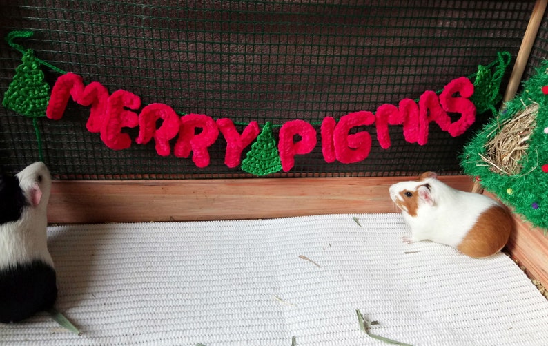 Merry Pigmas Garland in Cage for Guinea Pigs! Fanny Christmas Gift! - Etsy