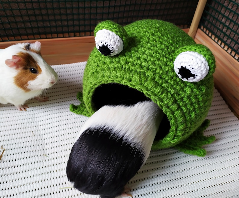 Guinea pig frog house for cage. Small pet house. Funny guinea | Etsy