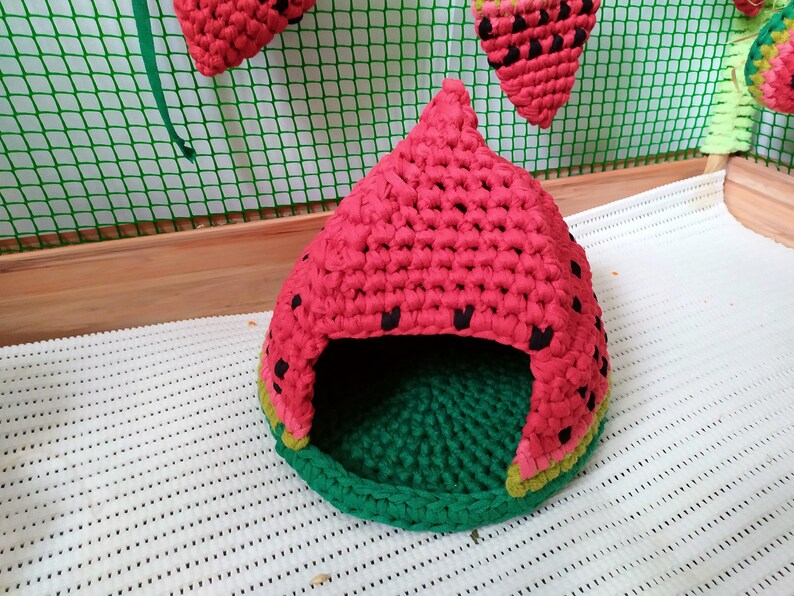 Guinea Pig Watermelon House for Cage. Small Pet House. Funny - Etsy
