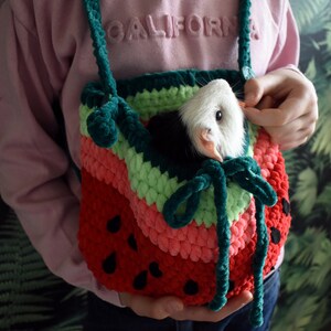 Guinea Pig Watermelon Carrier. Small Pet Soft Cozy Carrier. - Etsy