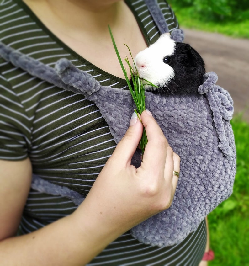 Guinea Pig Gray Carrier Small Pet Soft Cozy Carrier - Etsy