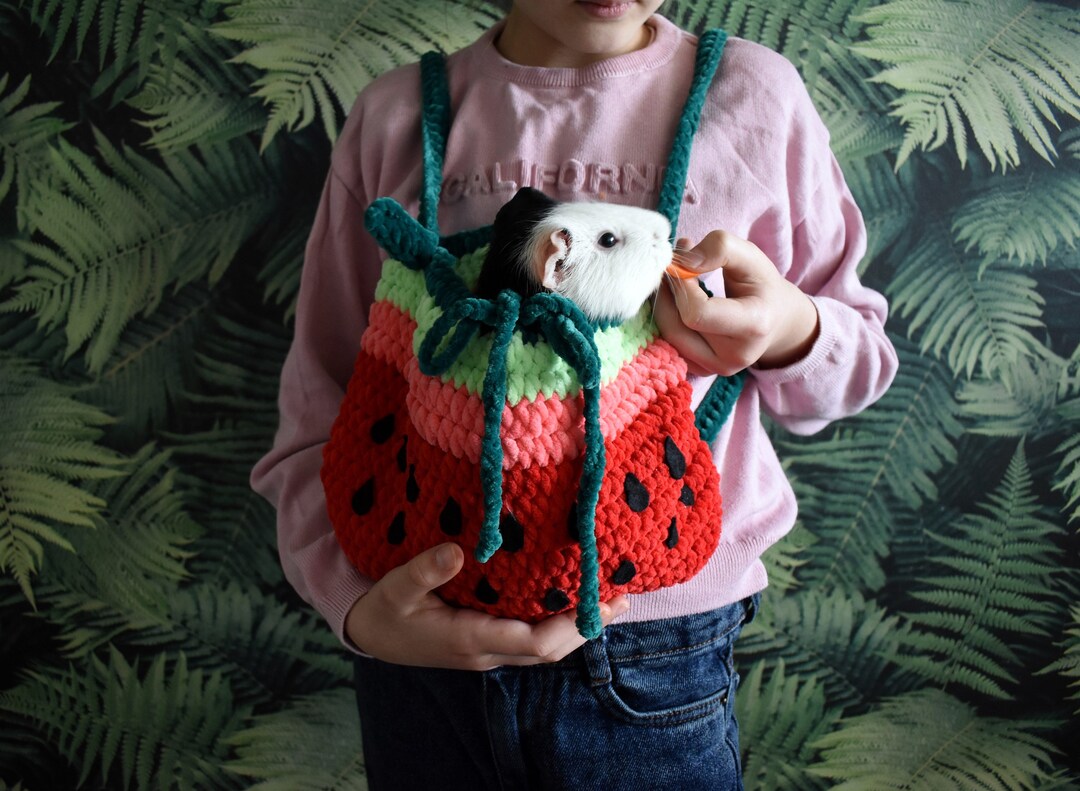 Guinea Pig Watermelon Carrier. Small Pet Soft Cozy Carrier. - Etsy