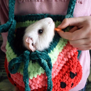 Guinea Pig Watermelon Carrier. Small Pet Soft Cozy Carrier. - Etsy