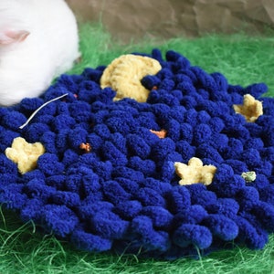 Space Snuffle Mat for Guinea Pig or Small Pets | Guinea Pig Foraging ...