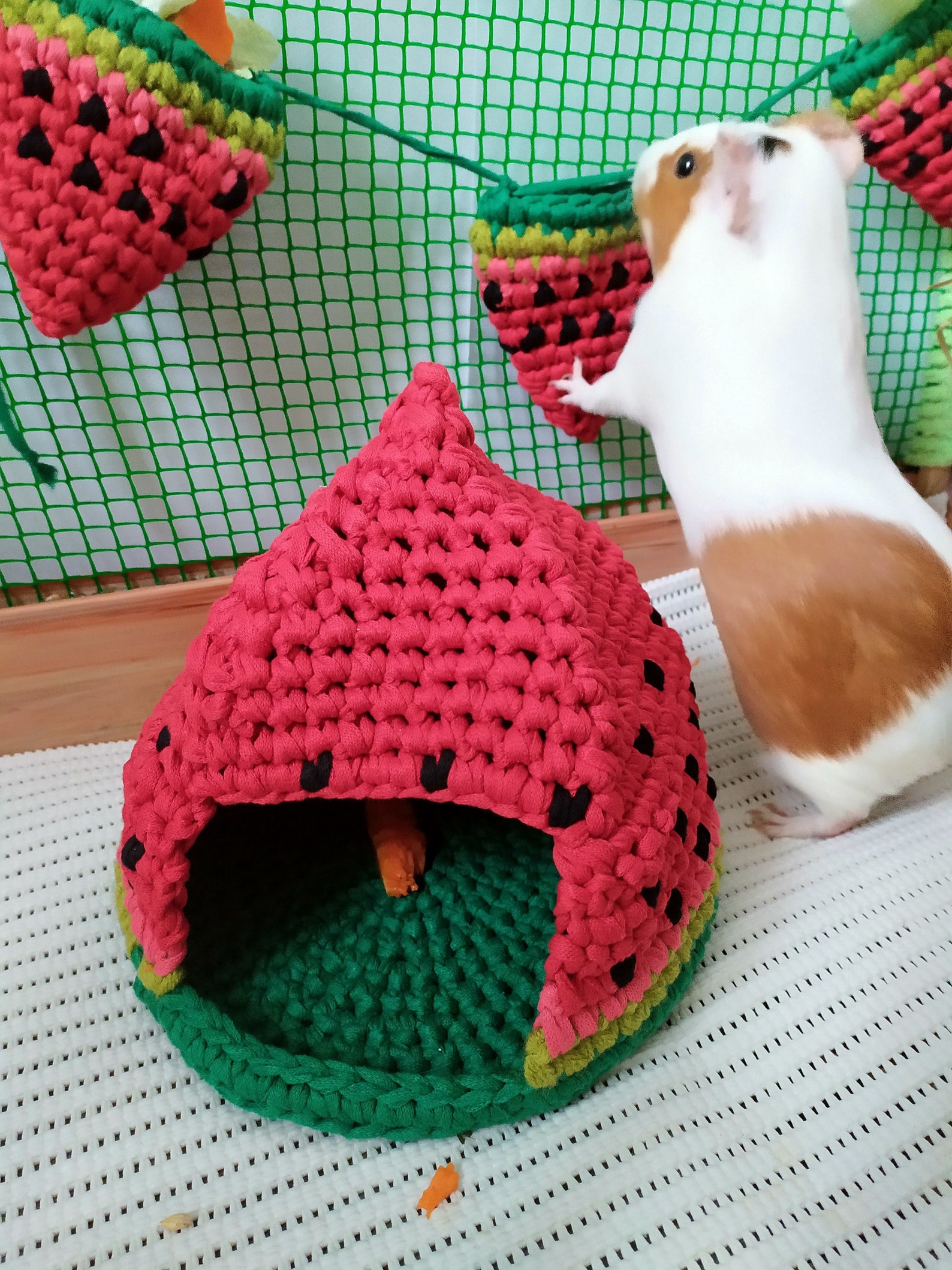 Guinea Pig Watermelon House for Cage. Small Pet House. Funny - Etsy