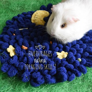 Space Snuffle Mat for Guinea Pig or Small Pets | Guinea Pig Foraging ...