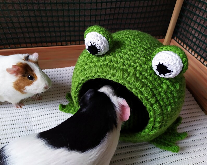 Guinea pig frog house for cage. Small pet house. Funny guinea | Etsy