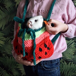 Guinea Pig Watermelon Carrier. Small Pet Soft Cozy Carrier. - Etsy