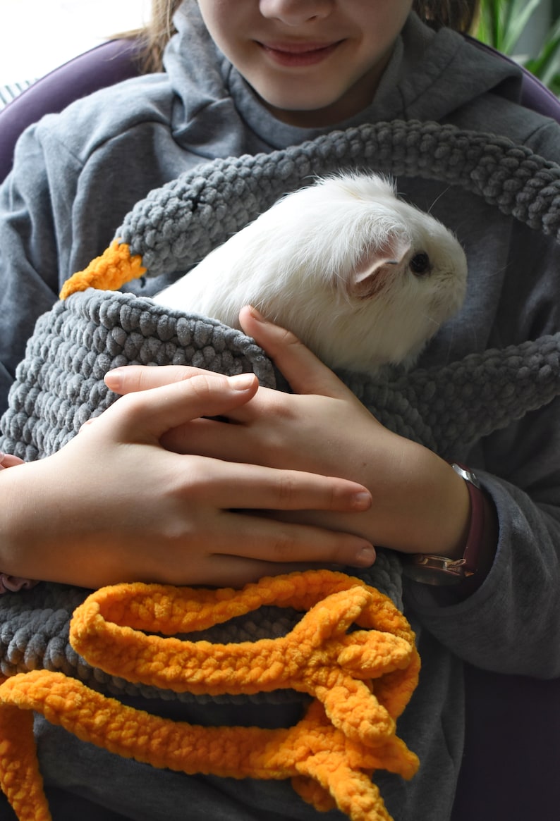 Gray Goose Carrier for Guinea Pig - Small Pet Soft Cozy Bonding Bag - Etsy