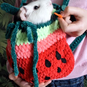 Guinea Pig Watermelon Carrier. Small Pet Soft Cozy Carrier. - Etsy