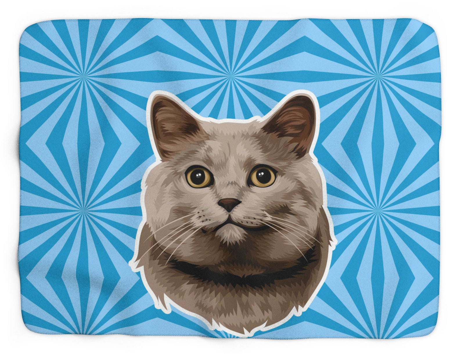 Your Cat on A Blanket, Personalized Photo Blanket, Custom Pet Portrait ...