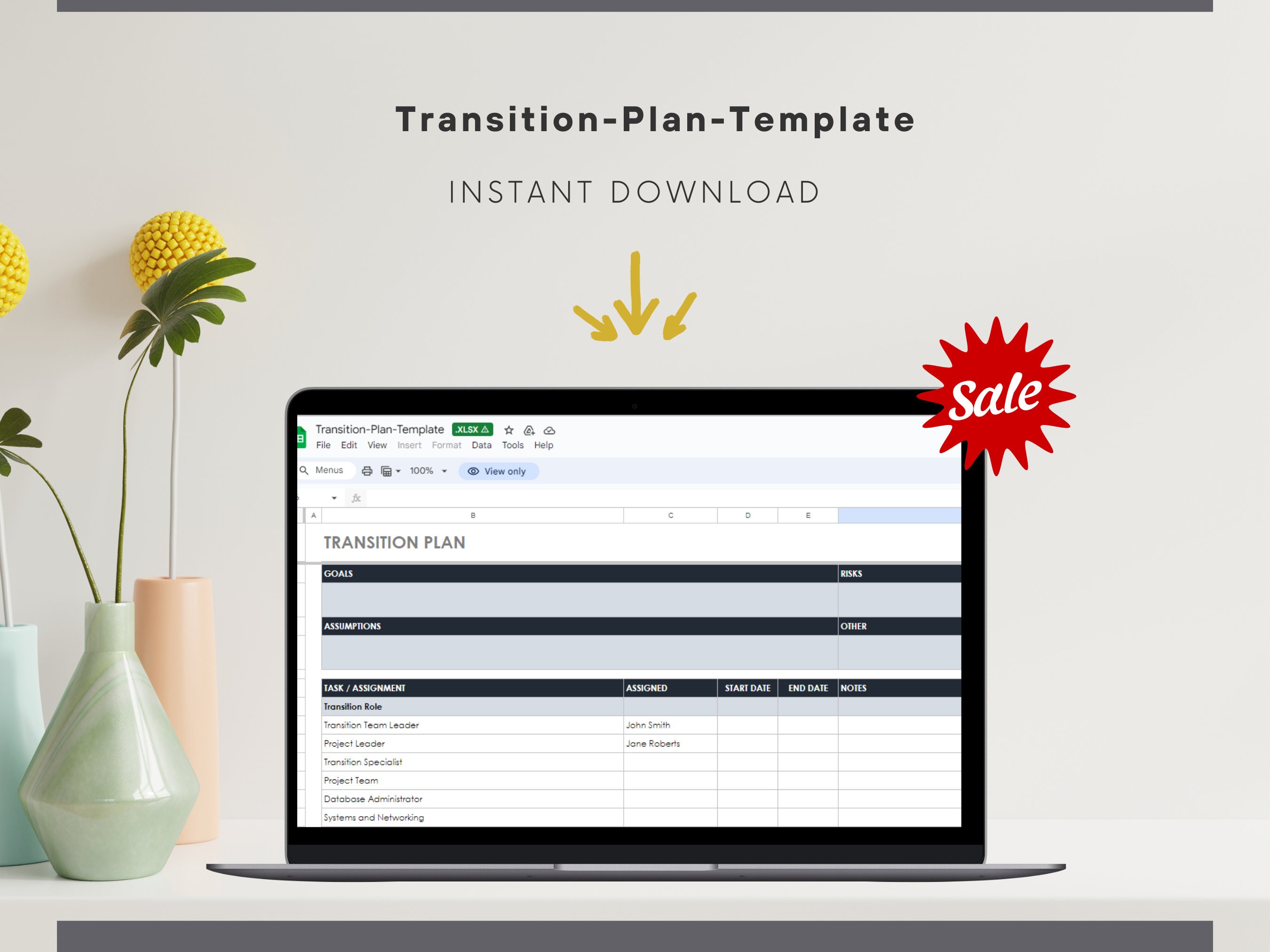 Transition Plan Excel Template Organize Goals, Assumptions, and Tasks ...