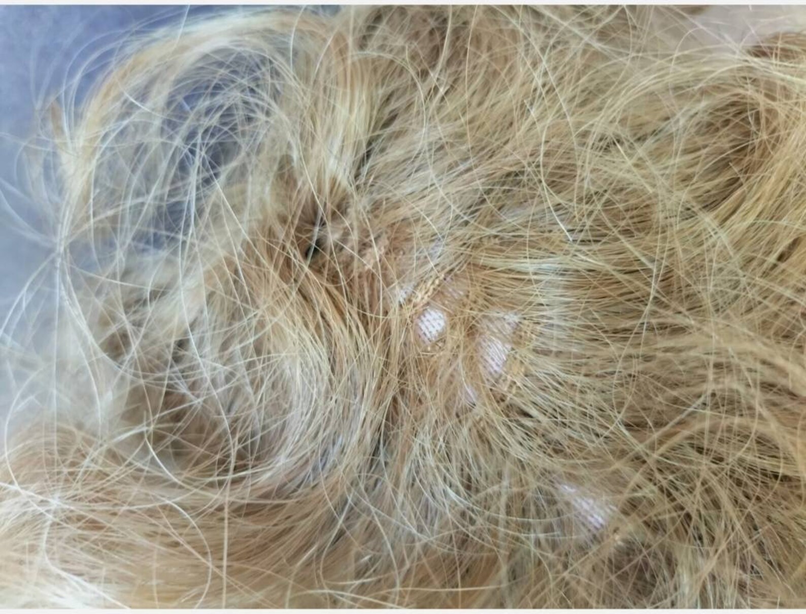 Vintage Porcelain Doll Smiling Doll Laughing Doll Baby Girl - Etsy