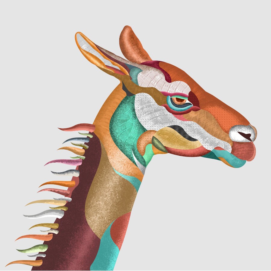 Retrato Llama Dibujo Alpaca Peru Cusco Incas Inca Acuarela Camelido ...