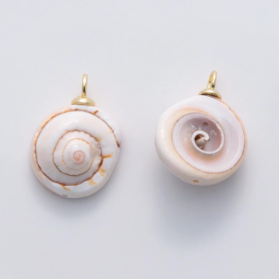 Shiva Eye Shell Pendant, Natural Operculum Cat’s Eye Charm, Gold Filled ...