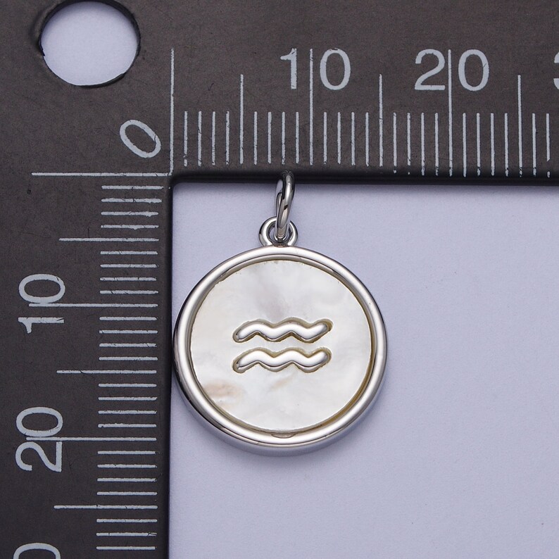 Shell Pearl Silver Zodiac Signs Medallion Pendant White Gold - Etsy