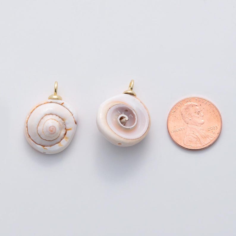 Shiva Eye Shell Pendant, Natural Operculum Cat’s Eye Charm, Gold Filled ...