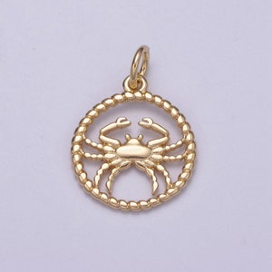 Dainty Zodiac Charm Horoscope With Decorated Rope Edge Medallion Charm ...