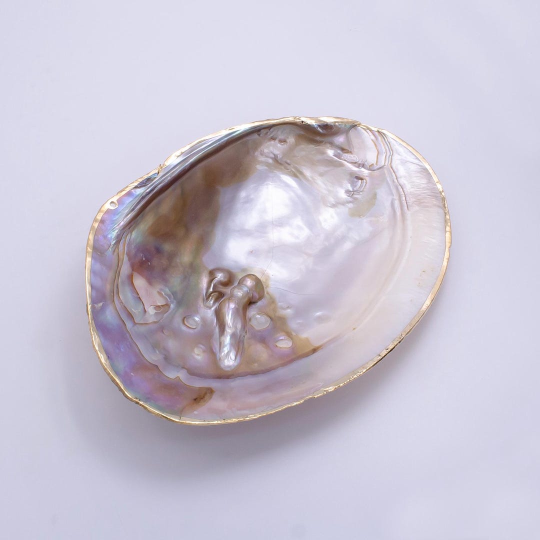 One of a Kind Decorative Giant Shell Dish Mother of Pearl Jewelry Tray ...