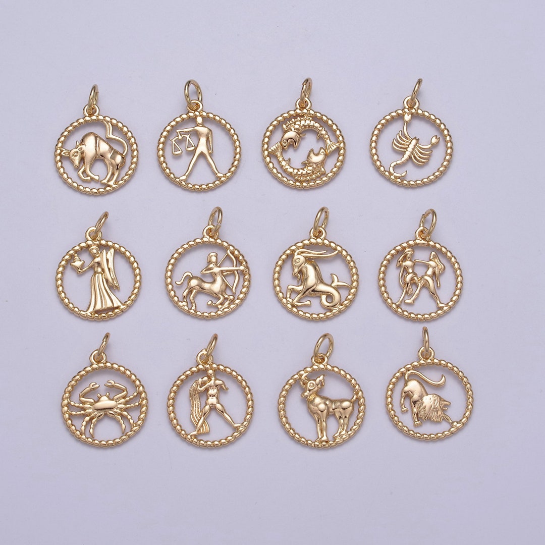 Dainty Zodiac Charm Horoscope With Decorated Rope Edge Medallion Charm ...