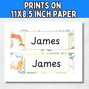 Editable Student Desk Name Tags; Ocean Theme Name Labels; Classroom ...