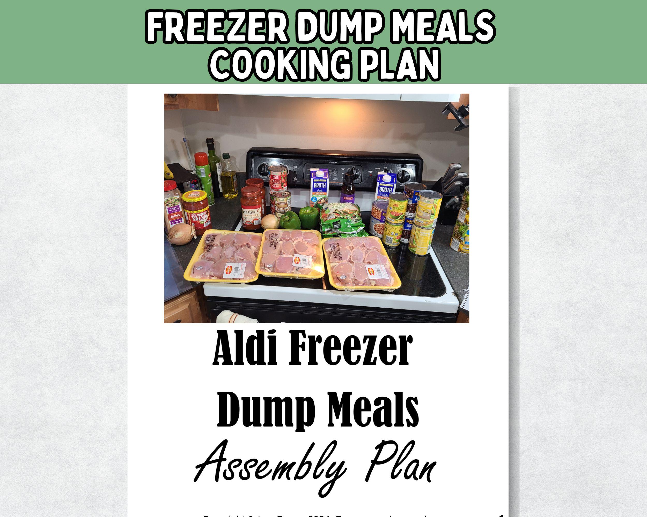 Freezer Dump Meals Assembly Plan; Aldi Dump Meals; Freezer Prep; Meal ...