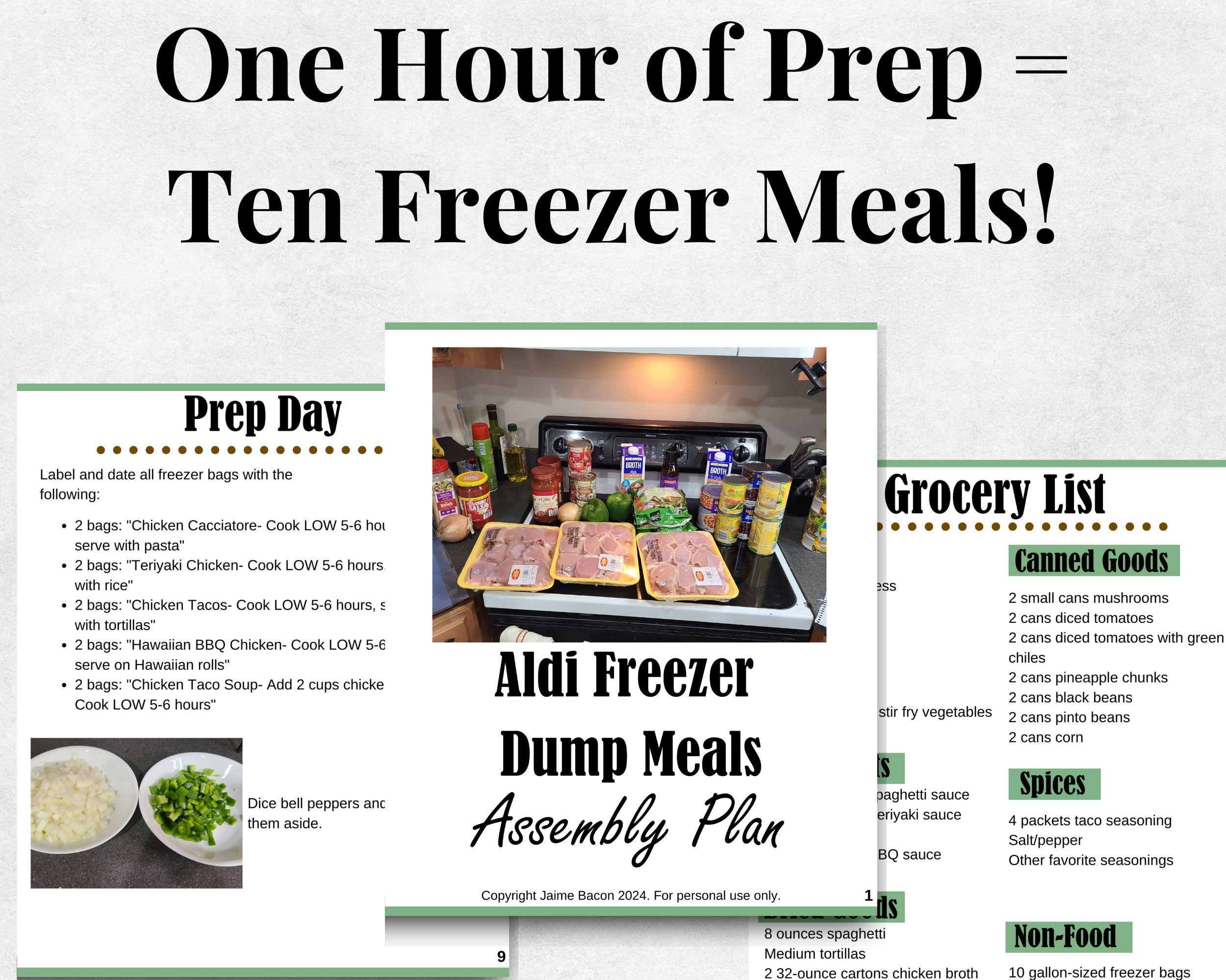 Freezer Dump Meals Assembly Plan; Aldi Dump Meals; Freezer Prep; Meal ...