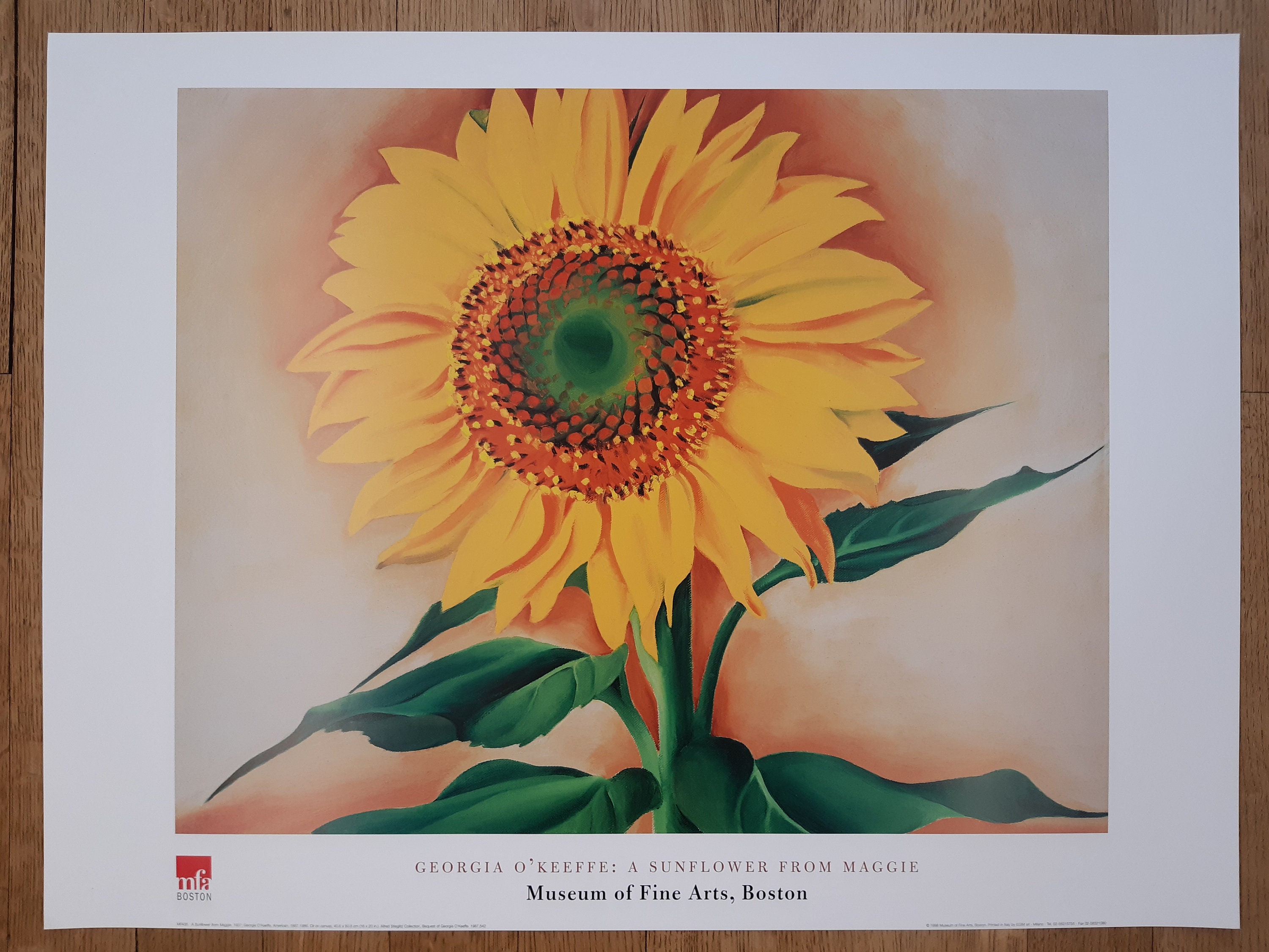 Georgia O'keeffe Original Art Poster - Etsy