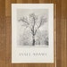 Ansel Adams Original Photography Poster - 25.6"×35.8" (65×91cm) - Etsy