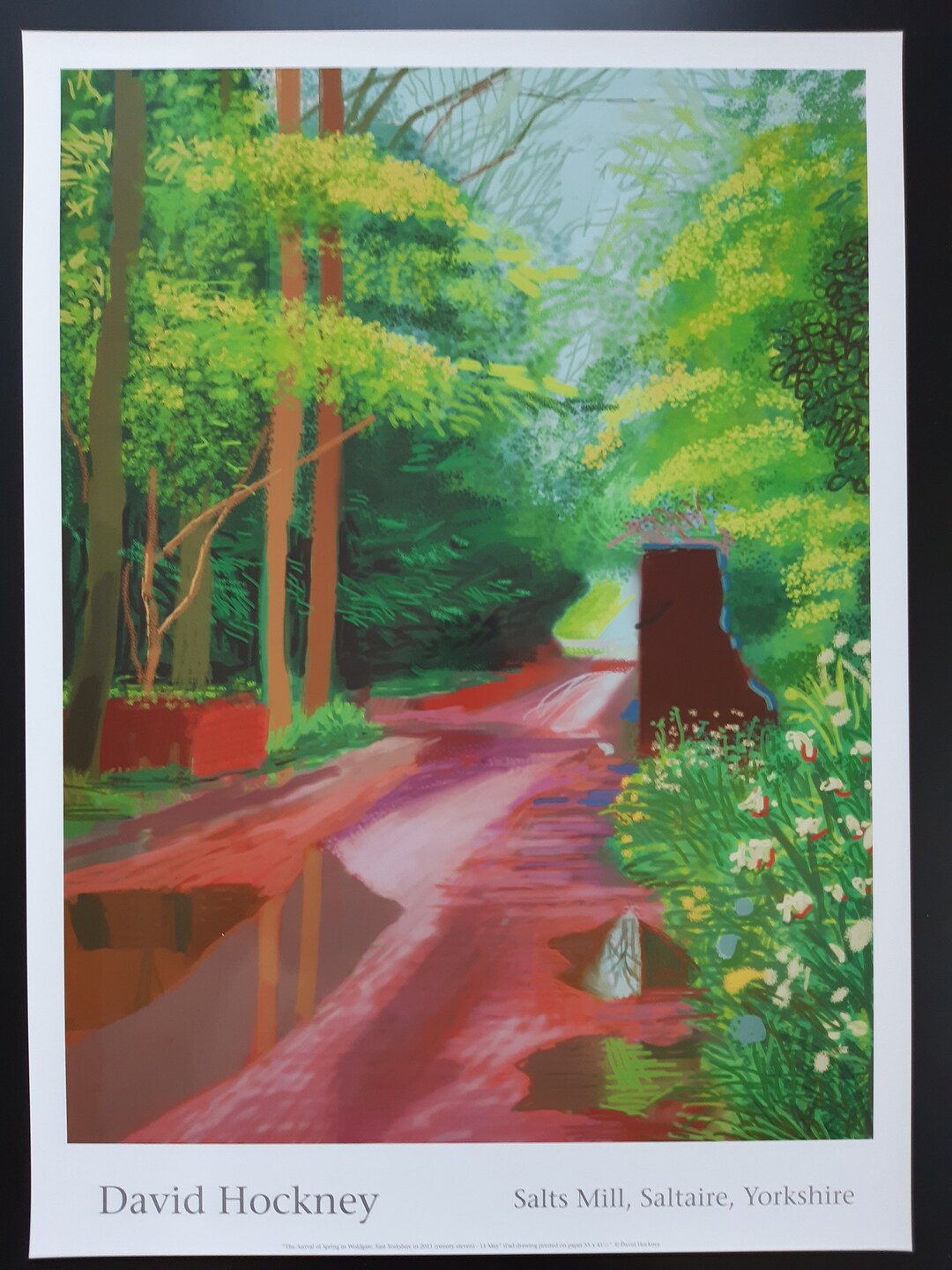 David Hockney Original Art Poster - Etsy