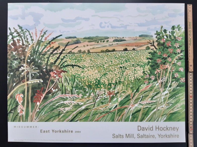 David Hockney Original Art Poster - 22.4"×17.7" (57×45cm) - Etsy